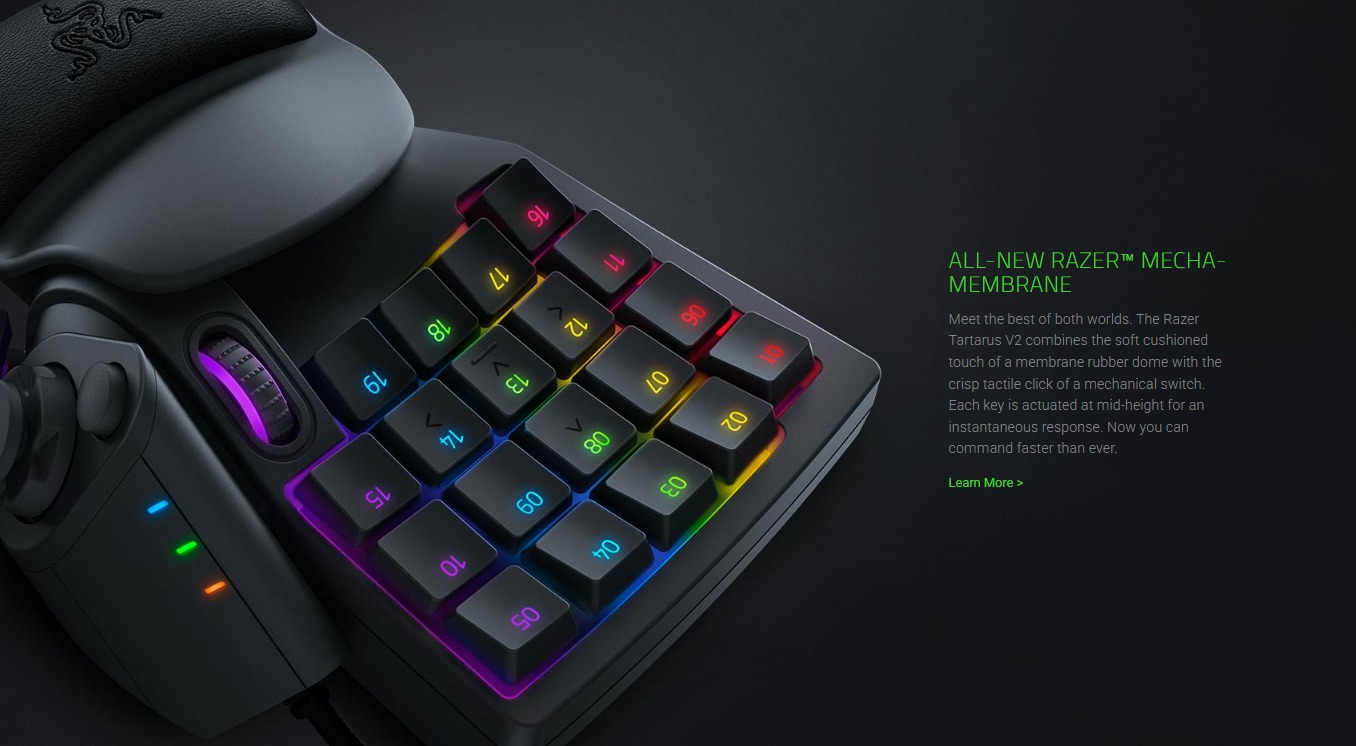 Razer Tartarus V2 Mecha-Membrane Wired Gaming Keypad with 32 ...