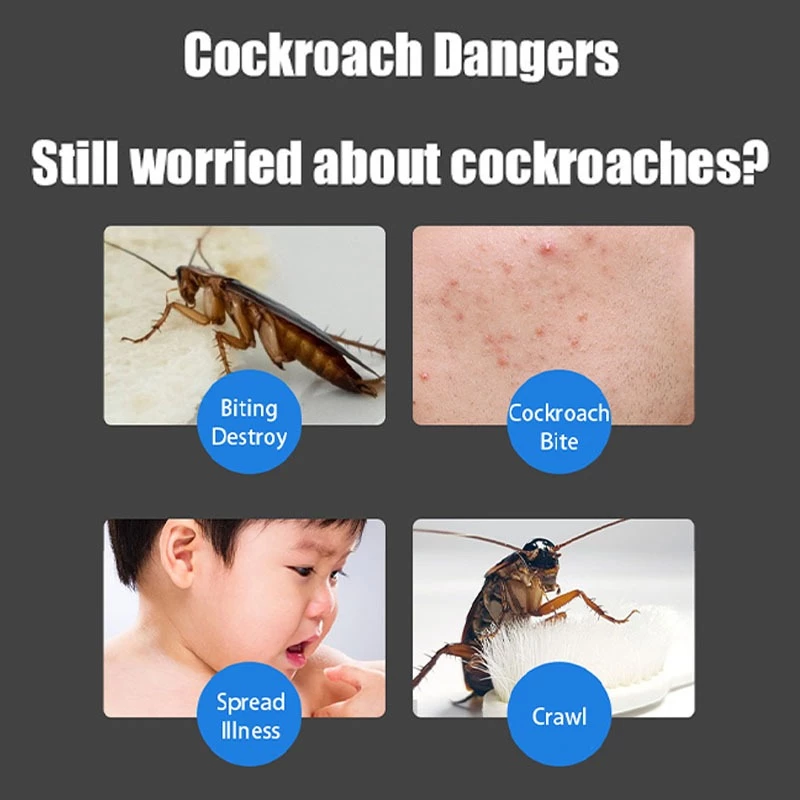 【Cockroach Medicine 】18pcs/Box Cockroach Catch Room Black Box Trap ...
