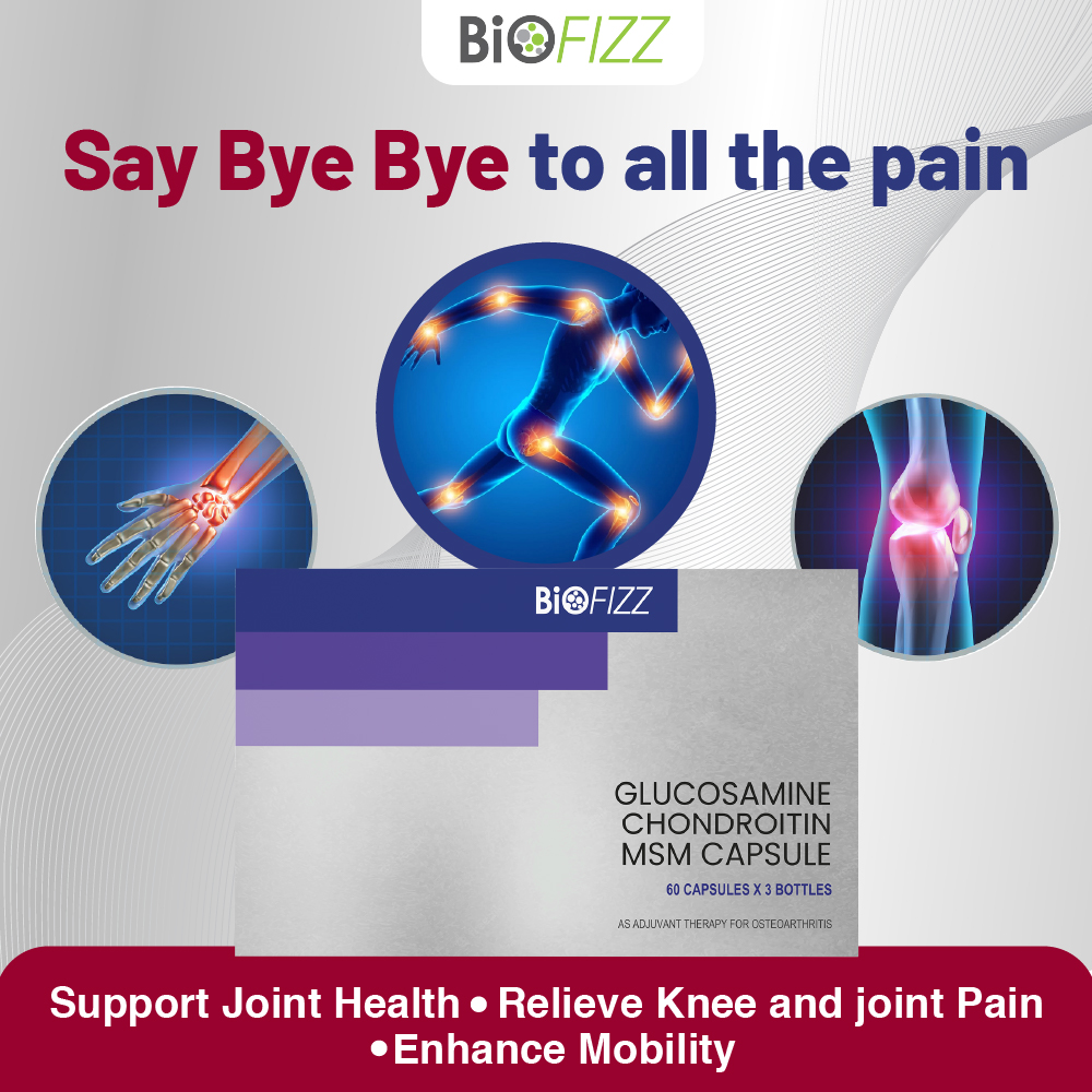 BIOFIZZ Glucosamine Chondroitin MSM 60's x 3 - Joint Pain Supports ...