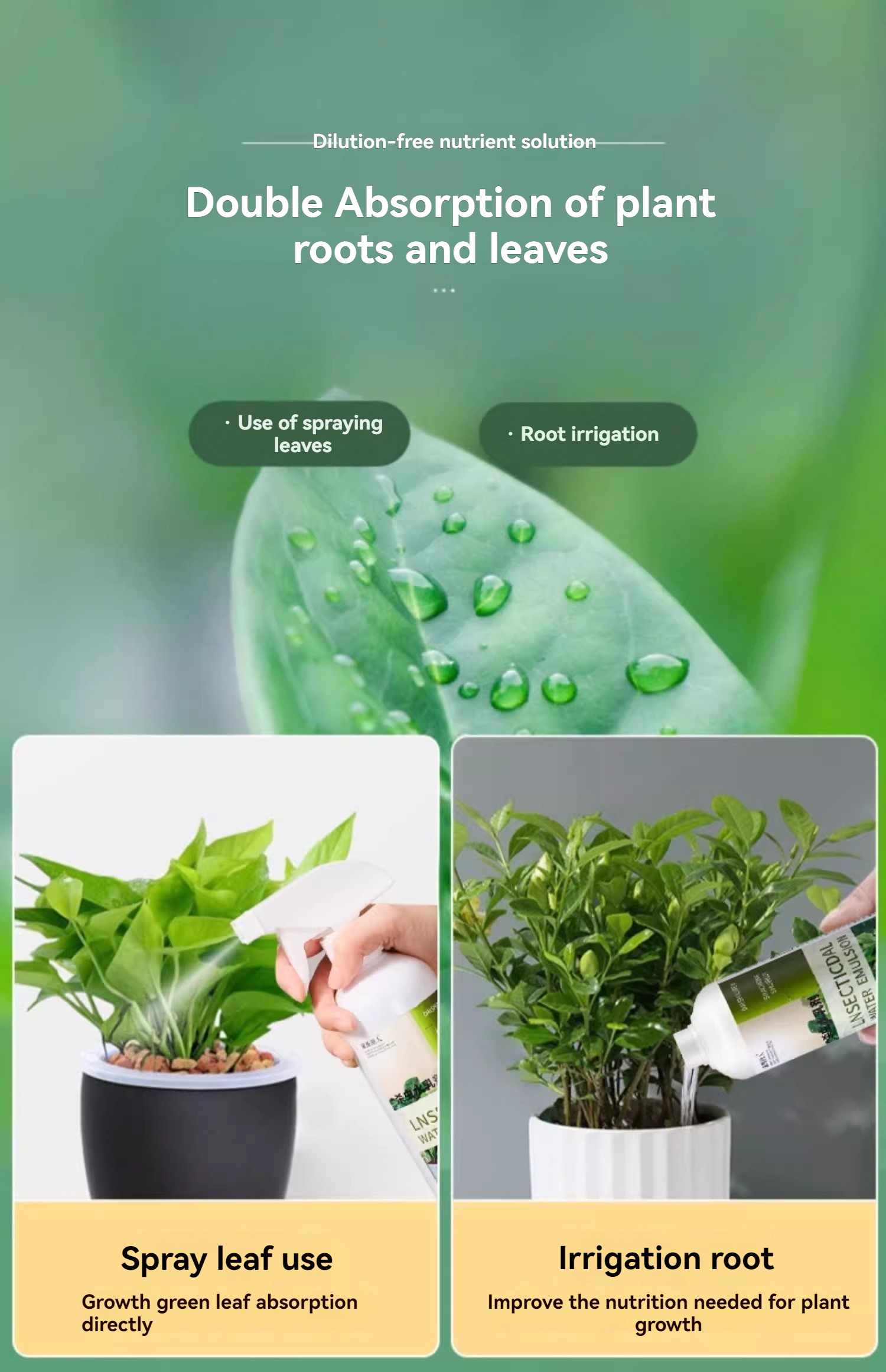 Stock｜Flower Plant Insecticide remove plant pests and diseases aphids ...