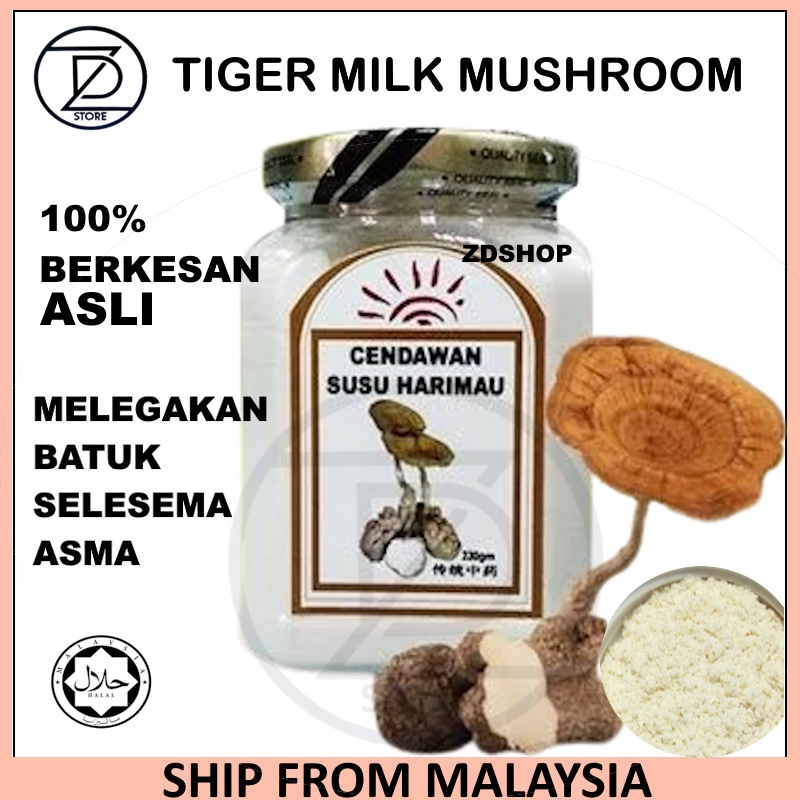 Premium TIGER MILK MUSHROOM (Relief of Cough, Cold & Sinusitis)SERBUK ...