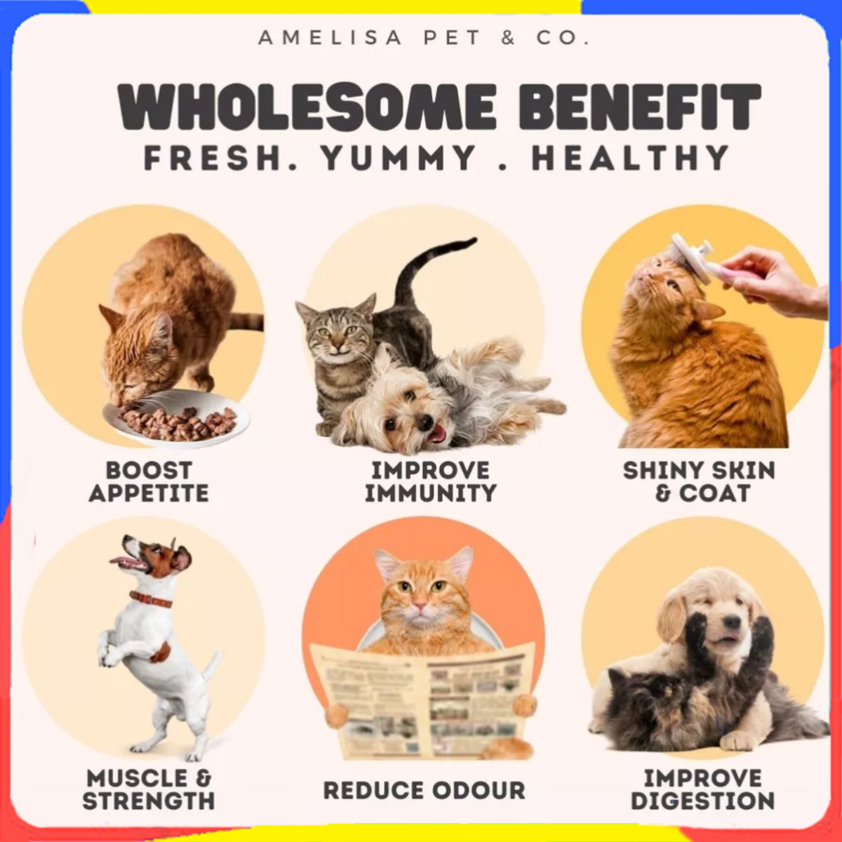 Amelisa Pet & Co. Rawly Bites Freeze Dried Pet Treats (Classic & Mini ...