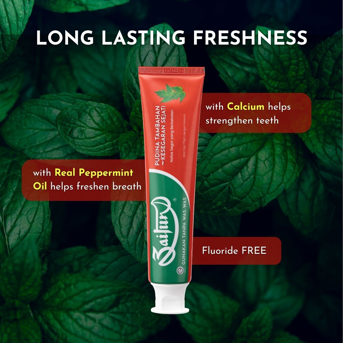 Zaitun Extra Mint Toothpaste 175g / Ubat Gigi Pudina Tambahan 175g ...