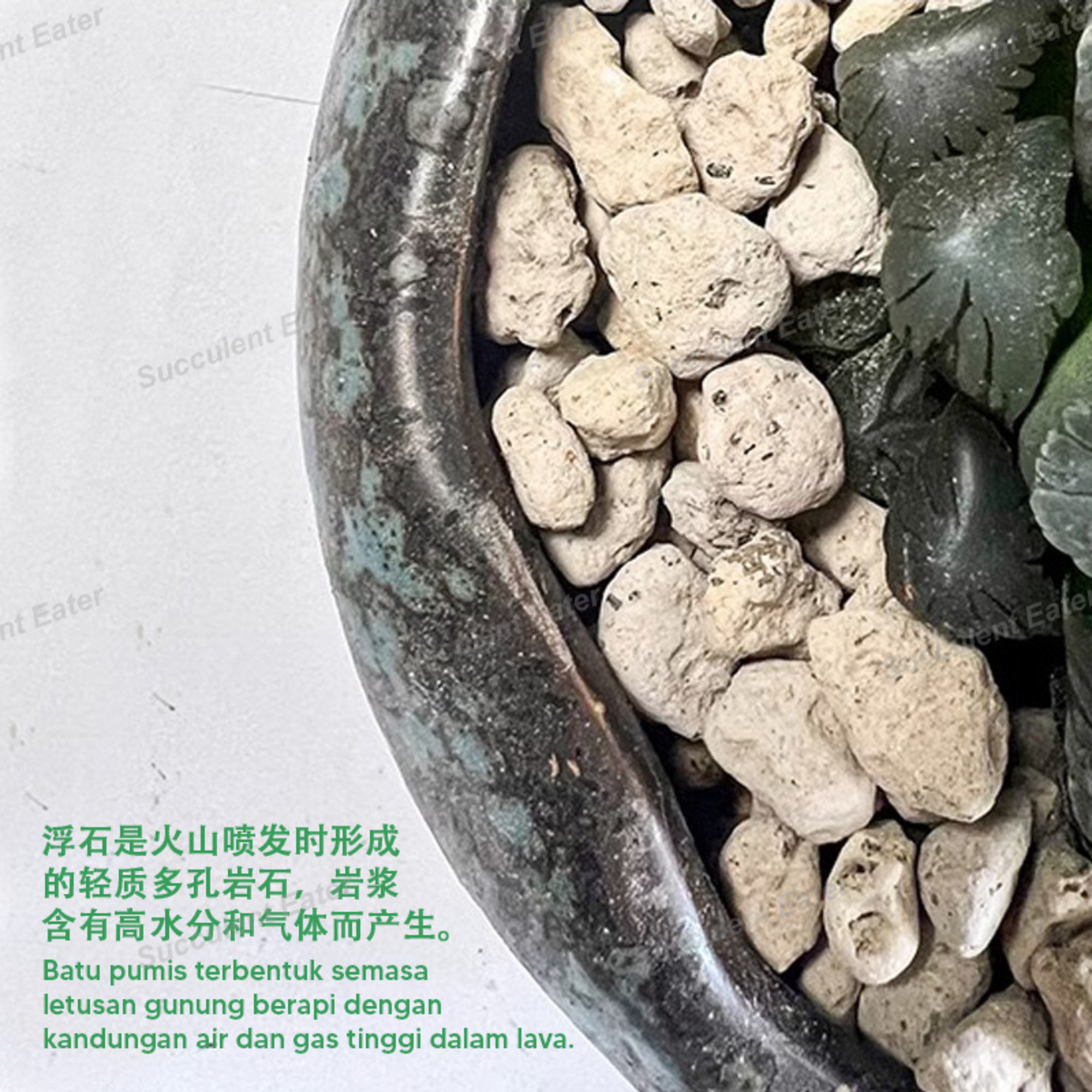 (1 Liter) Pumice Stone Batu Pumis Cactus Succulent Soil Filter Media ...