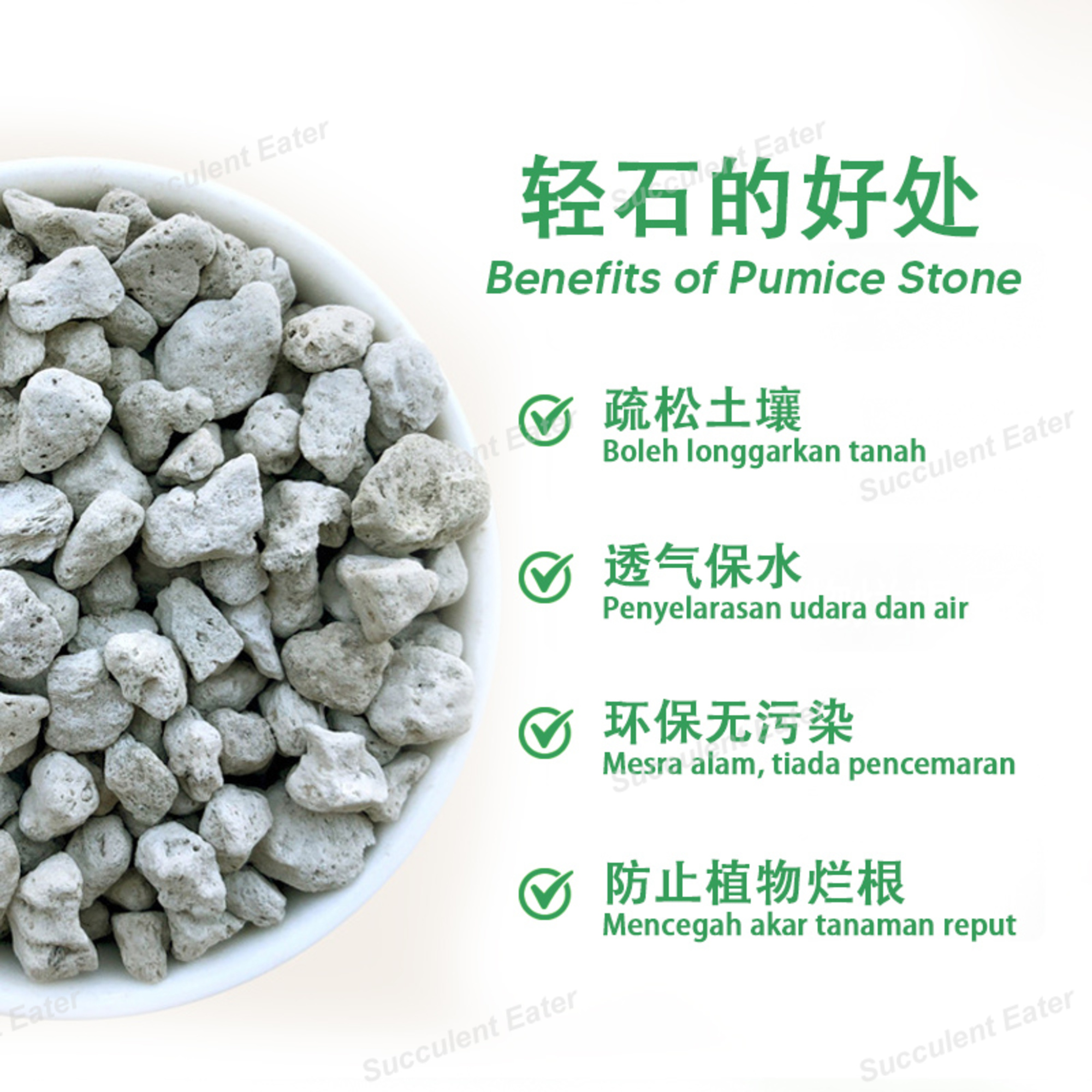 (1 Liter) Pumice Stone Batu Pumis Cactus Succulent Soil Filter Media ...