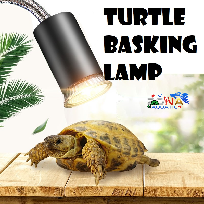 READY STOCK | TURTLE BASKING LAMP | TORTOISE HEAT LAMP | LAMPU KURA ...