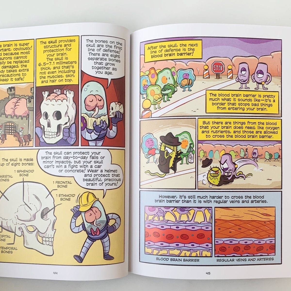 【Science Comics】【 30 books 】🔥🔥 Science Comics Series 100 Things to Know ...