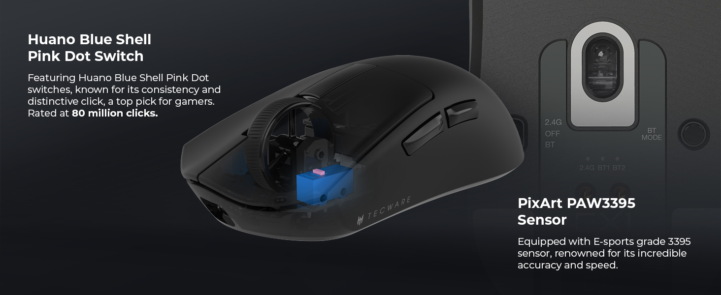 # TECWARE EX1 - Lightweight Tri-Mode Wireless Gaming Mouse With OLED ...
