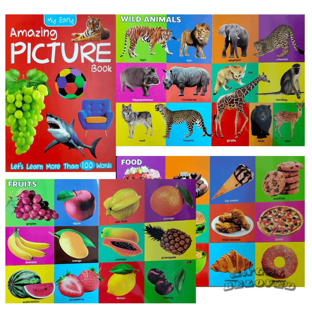 My Early Picture Book Baby Book Board Book Buku Bergambar Kamus ...