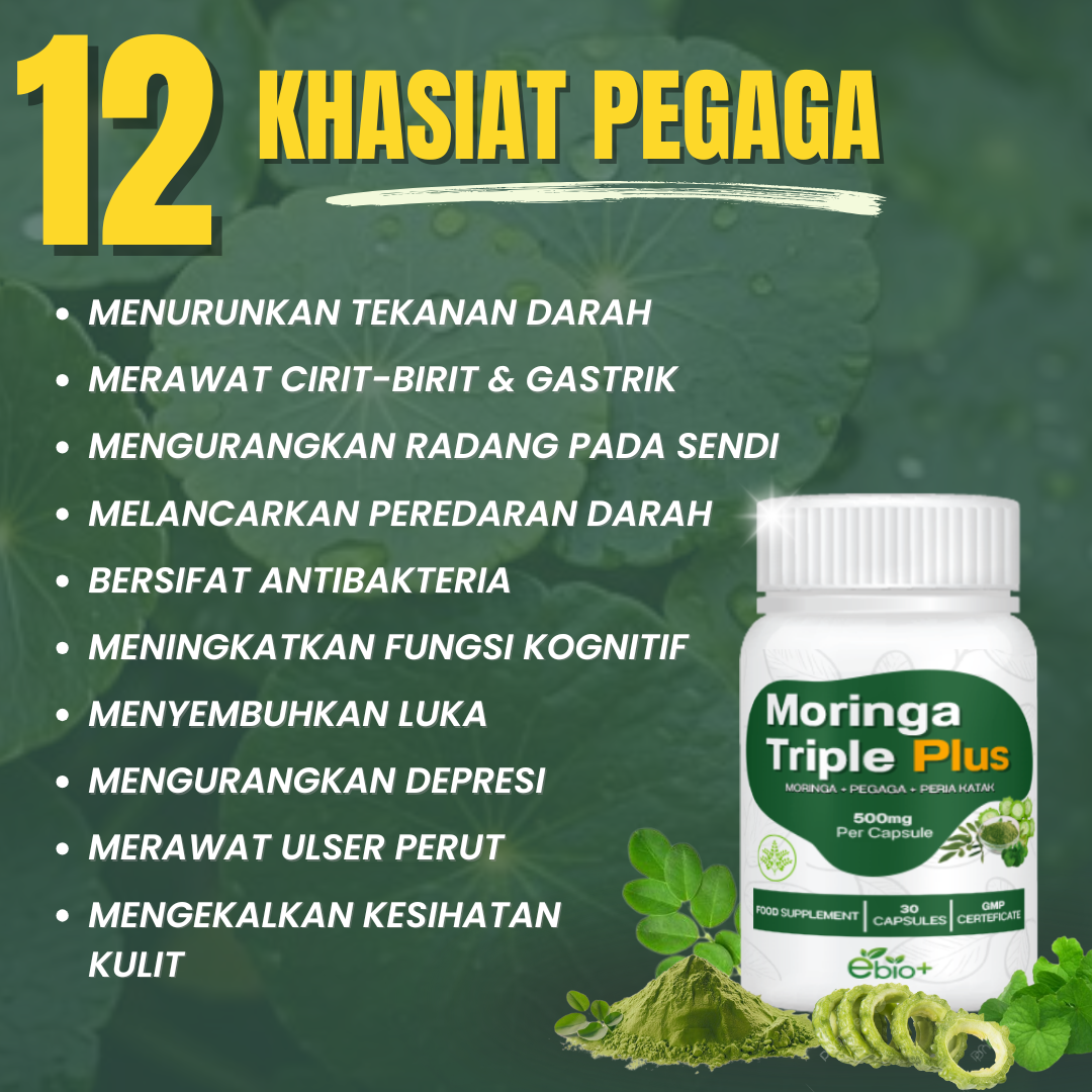 Kapsul Moringa Triple Plus Gabungan Moringa + Pegaga + Peria Katak ...