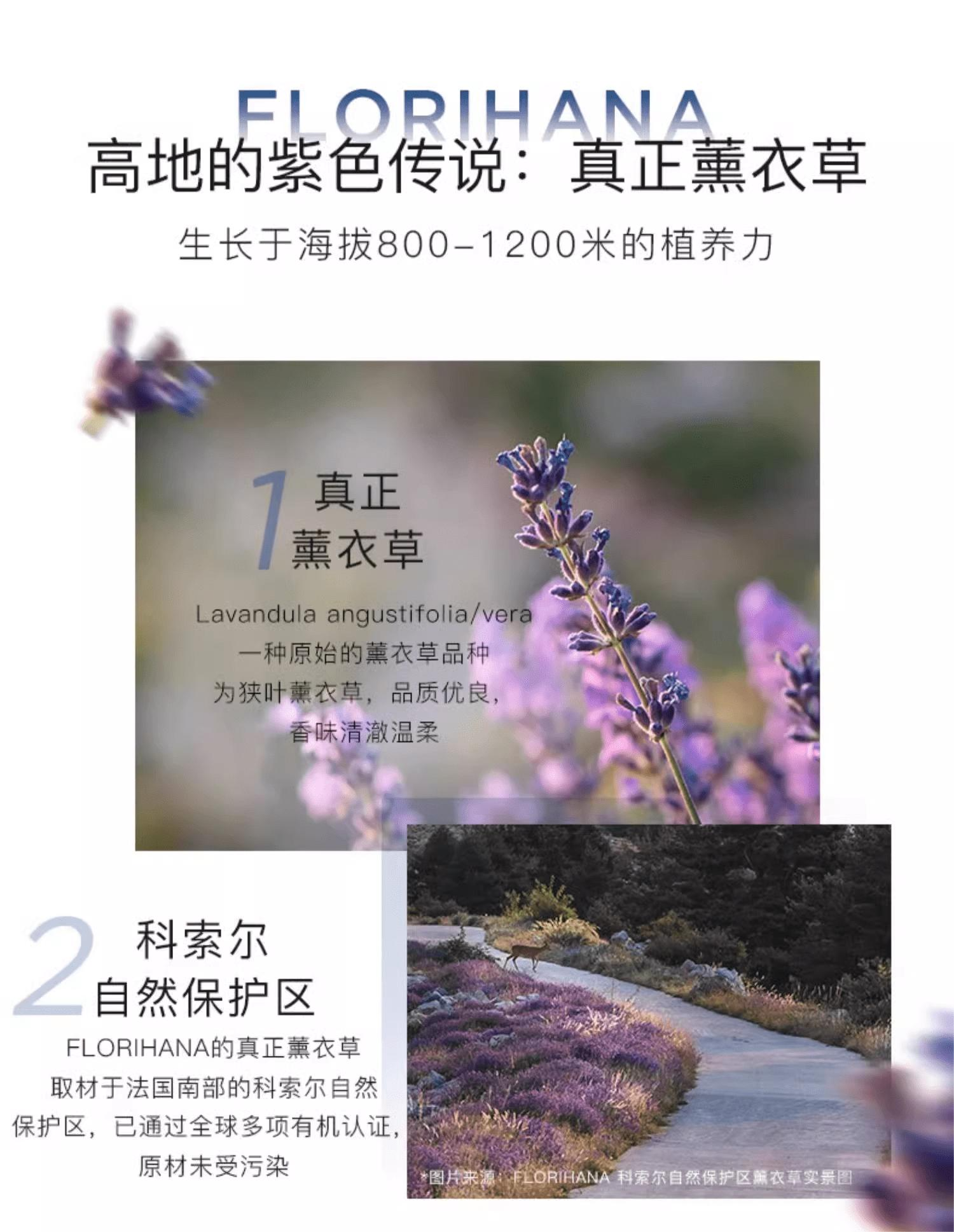 [New Batch] FLORIHANA Lavender Vera Organic Essential Oil 高地真正薰衣草精油 ...