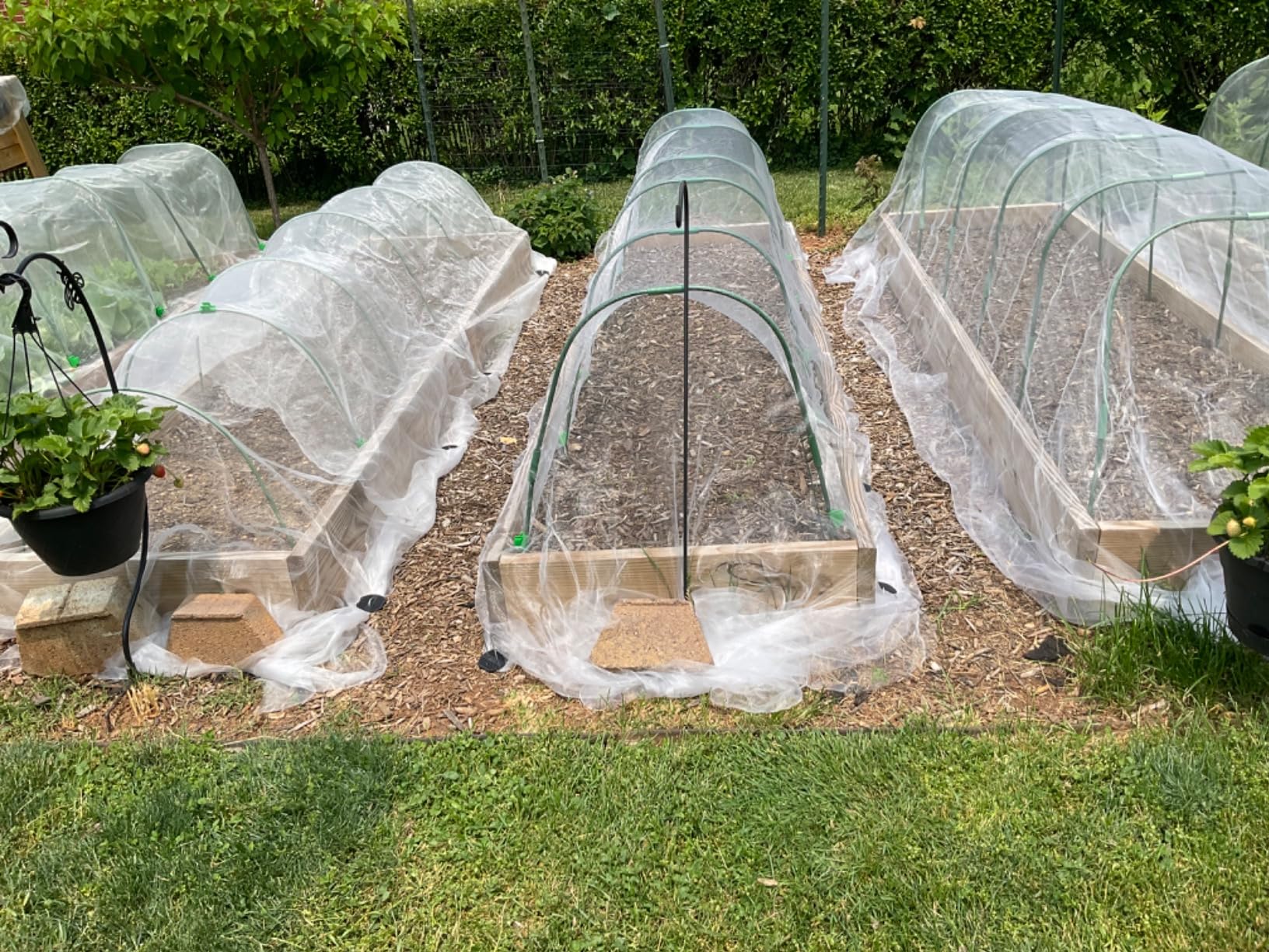 Insect Net Jaring Tanaman Jaring Serang Protective Net Fruit Net Plant ...