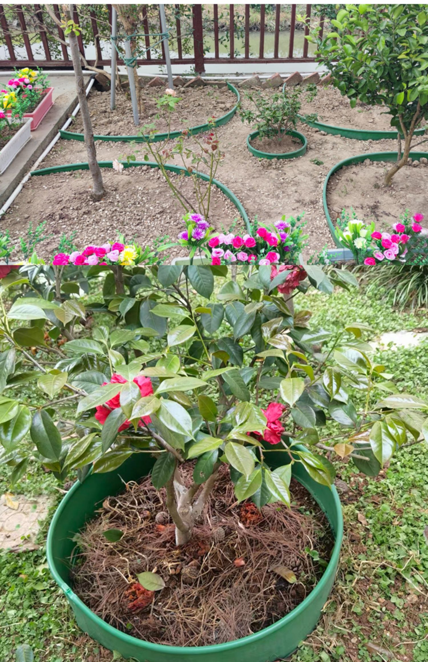 Grass Edging Fence Belt Border Garden Lawn Greening Belt Plastic Garden ...