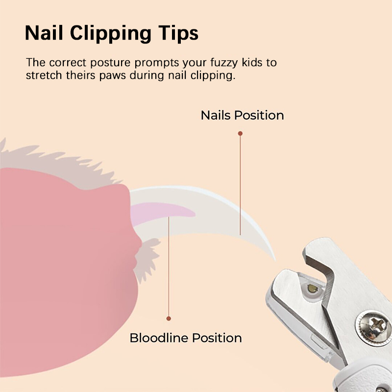 PETKIT Pet Nail Clipper with LED Light Prevent Clipping Nail Blood ...