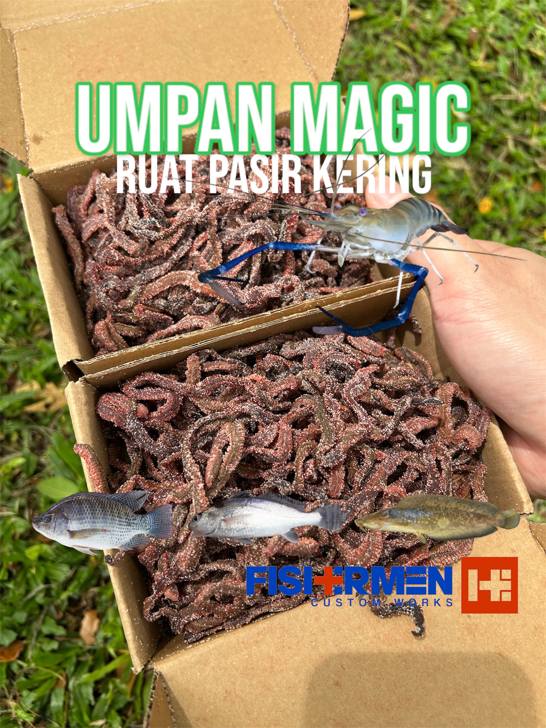 UMPAN KILLER UMPUN UDANG GALAH IKAN GELAMA KITANG LAUT RUAT NIPAH SEGAR ...