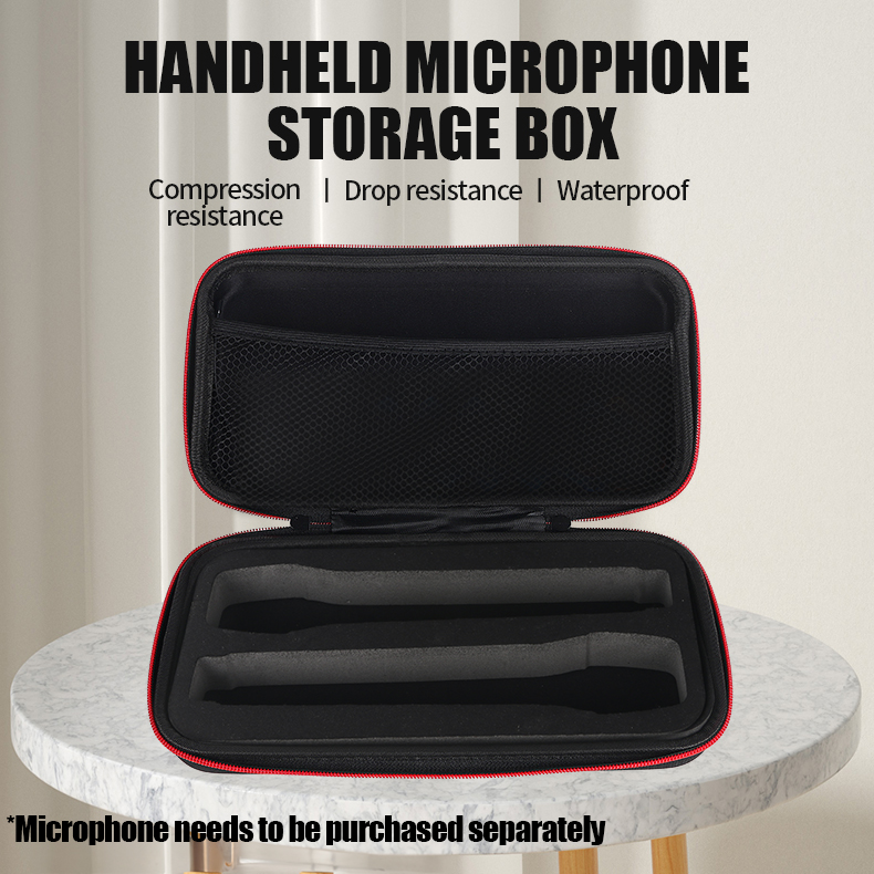 RAYHAYES RE-1 Microphone Bag Dual Microphone Storage Box Microphone Box ...