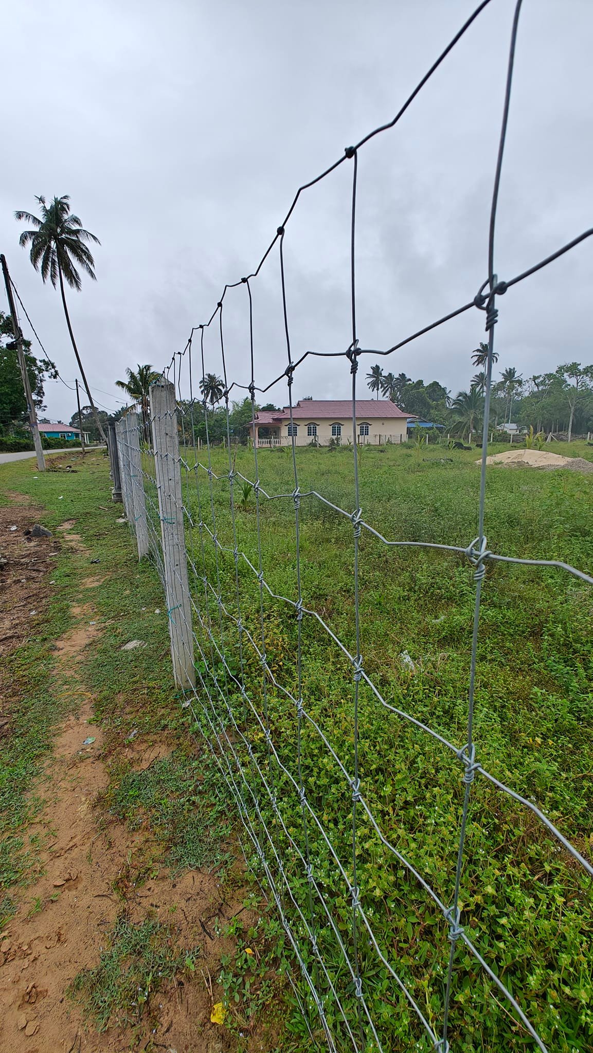 Pagar Cyclone 2.0mm/2.5mm 4/5/6 Kaki Pagar Lembu Cyclon Garden Fence ...