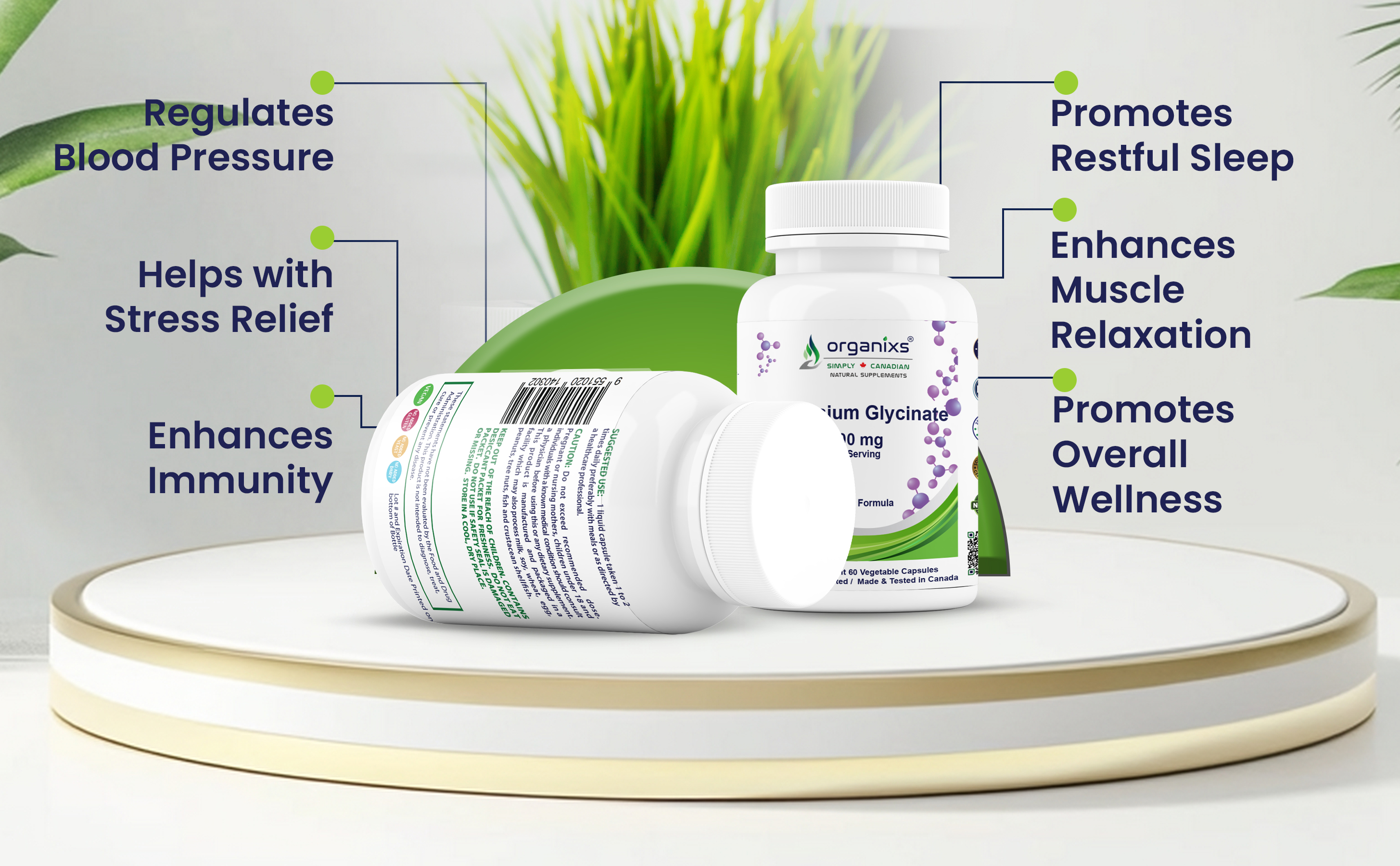 Organixs Magnesium Glycinate 400mg High Absorption support Muscle ...