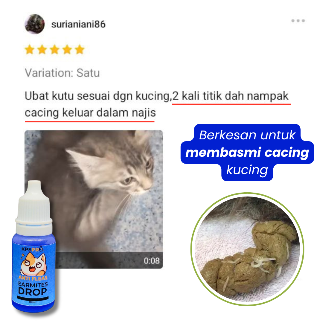 Kpspro Ubat Kutu Kucing Cat Flea Cat Ear Mite Drop Ubat Kutu Telinga ...