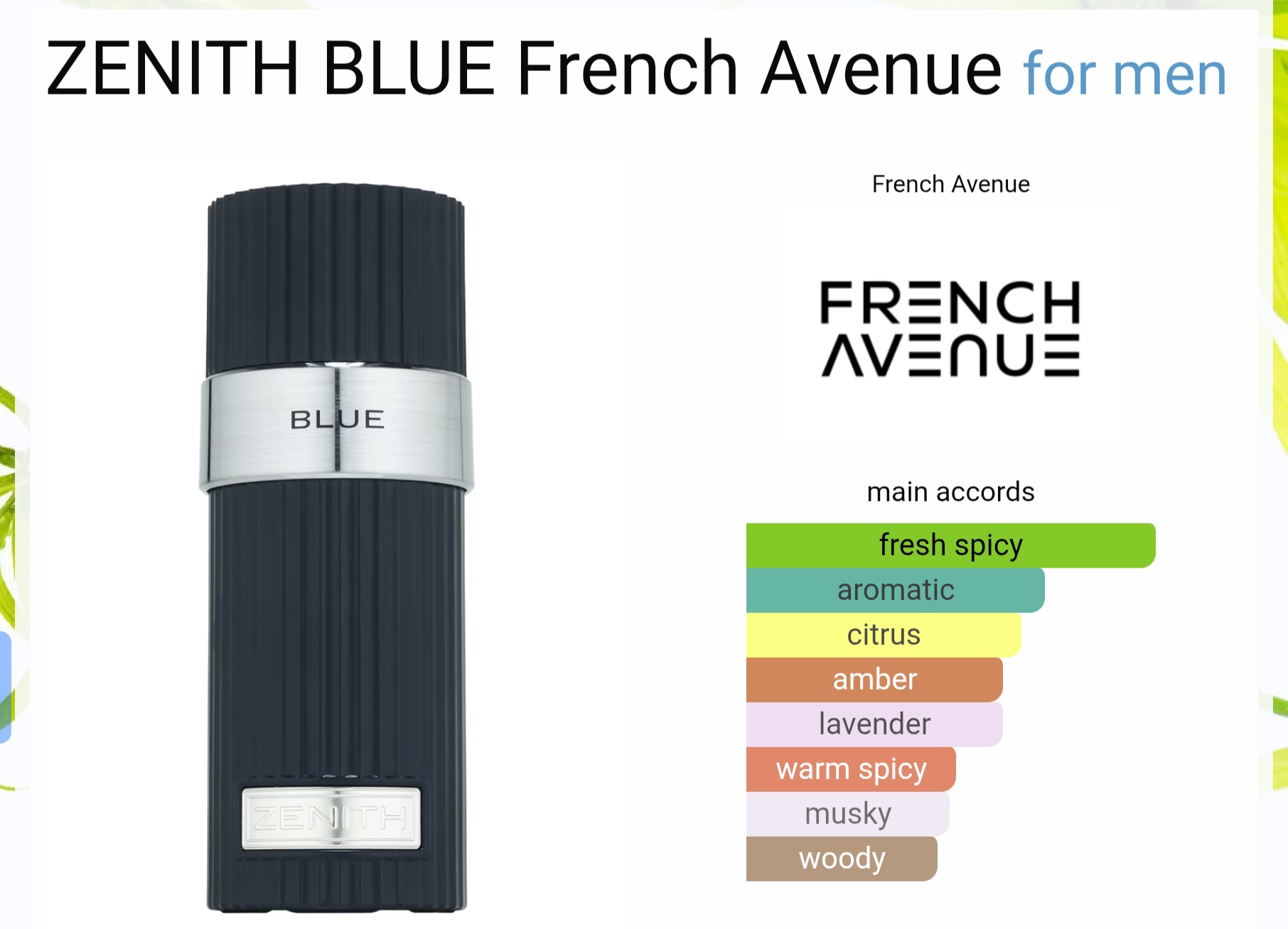 ZENITH BLUE French Avenue for men perfume original from Dubai EDP ...