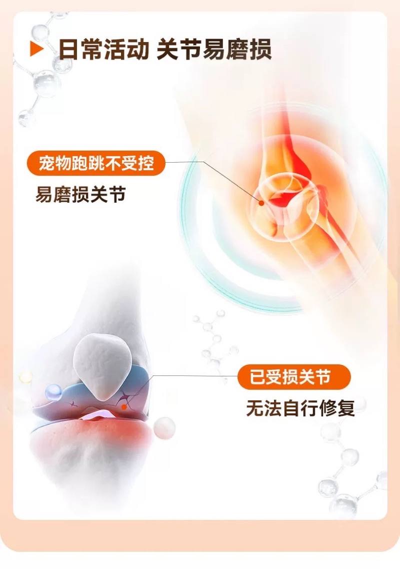 Dolosh 都乐时 Hip&Joint Care Turmeric Green Mussel Chondroitin 0.72g*100 姜黄绿唇贻贝软骨素 猫犬通用 | Shopee ...