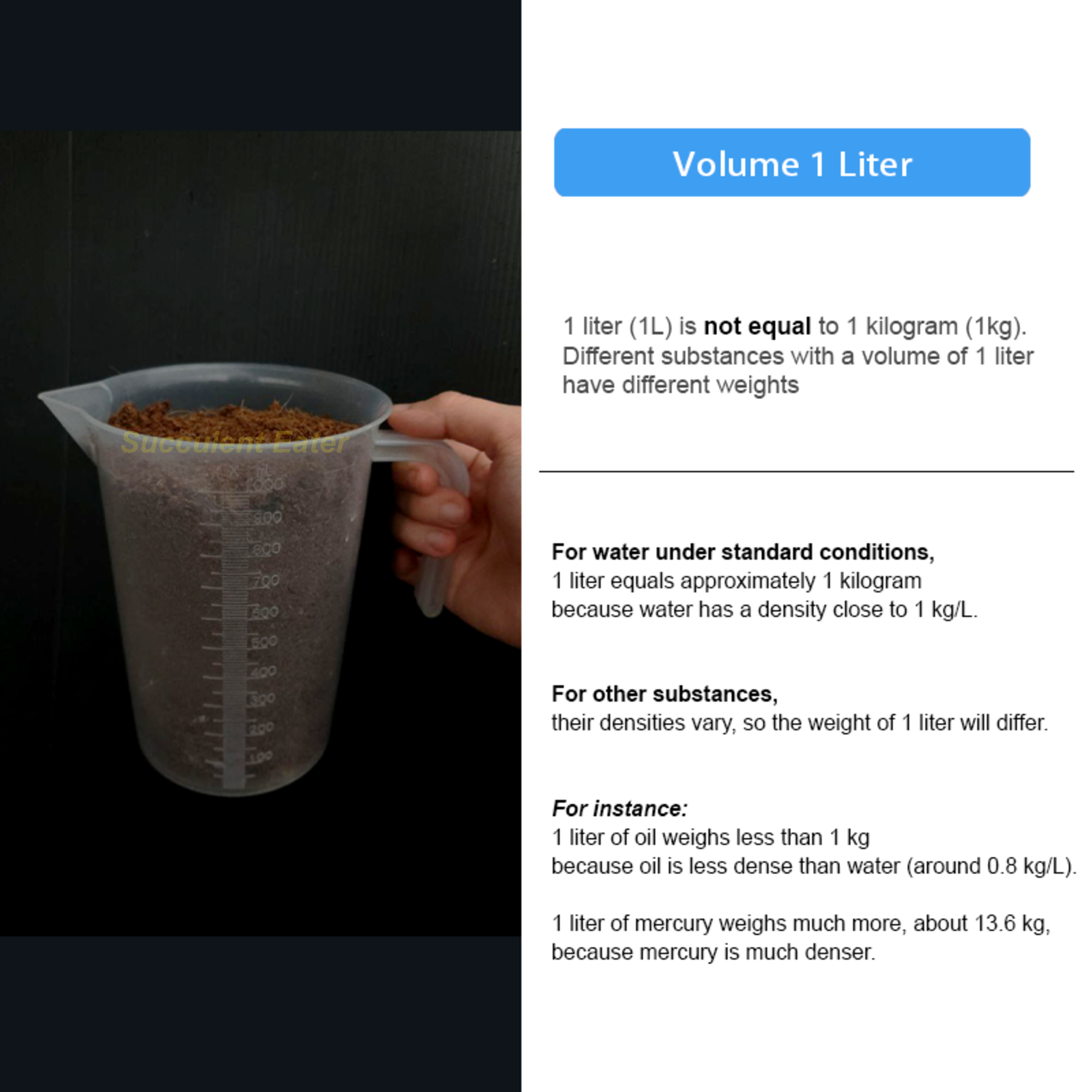 Pumice 1 Liter Stone Batu Pumis Cactus Succulent Soil Filter Media ...