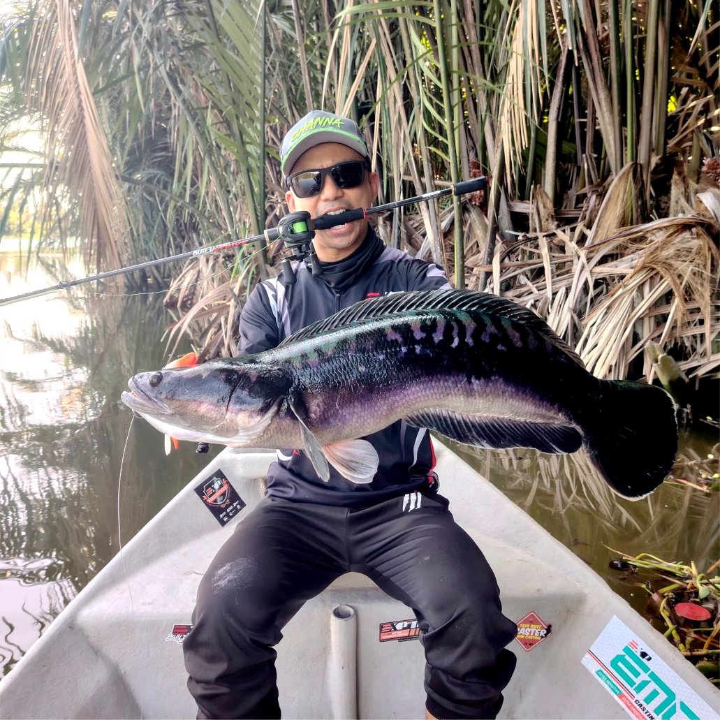 EXP LEGGERA REEL LG81/80LS baitcasting SW NMB Bearing Casting Left ...