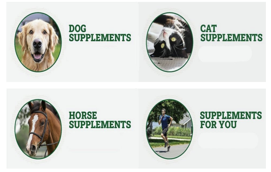 Nutramax Denamarin Liver Health Supplement For Small / Medium Dog & Cat ...