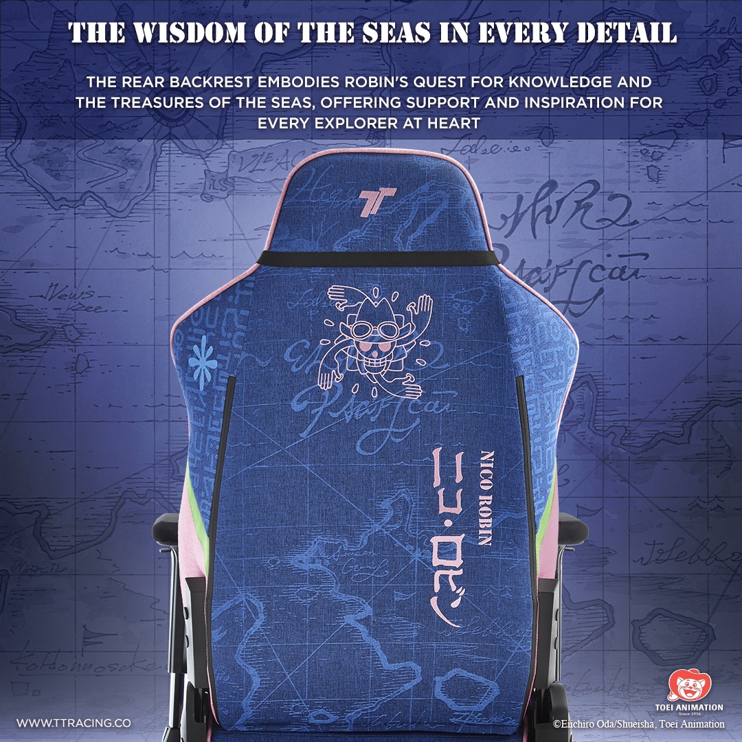 TTRacing Swift X Pro One Piece Robin Edition Air Threads Fabric Gaming ...