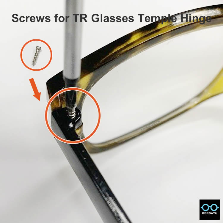 Long Screws for Plastic Spectacle Hinge Temple (2 pcs) Stainless Steel ...