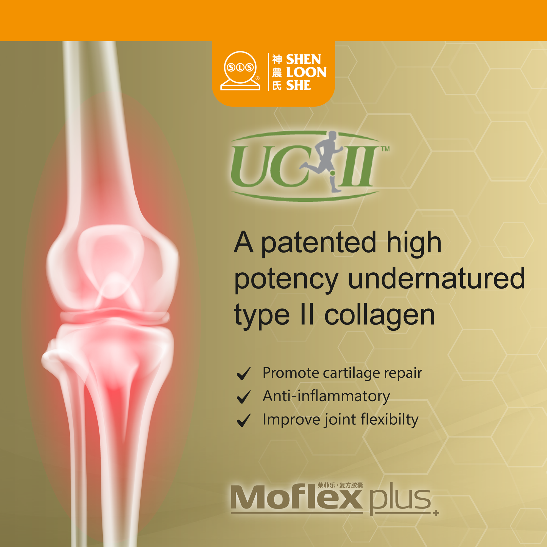 SLS Moflex Plus Knee Pain Supplement 神农氏补骨天王膝盖 弹弓手腰骨 (1 Bottle x 30 ...