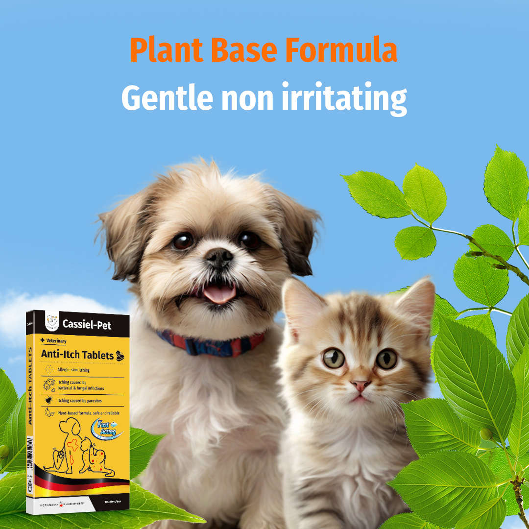 Cassiel Pet Anti ltch Tablets Skin Disease Medicine For Anti Itching ...