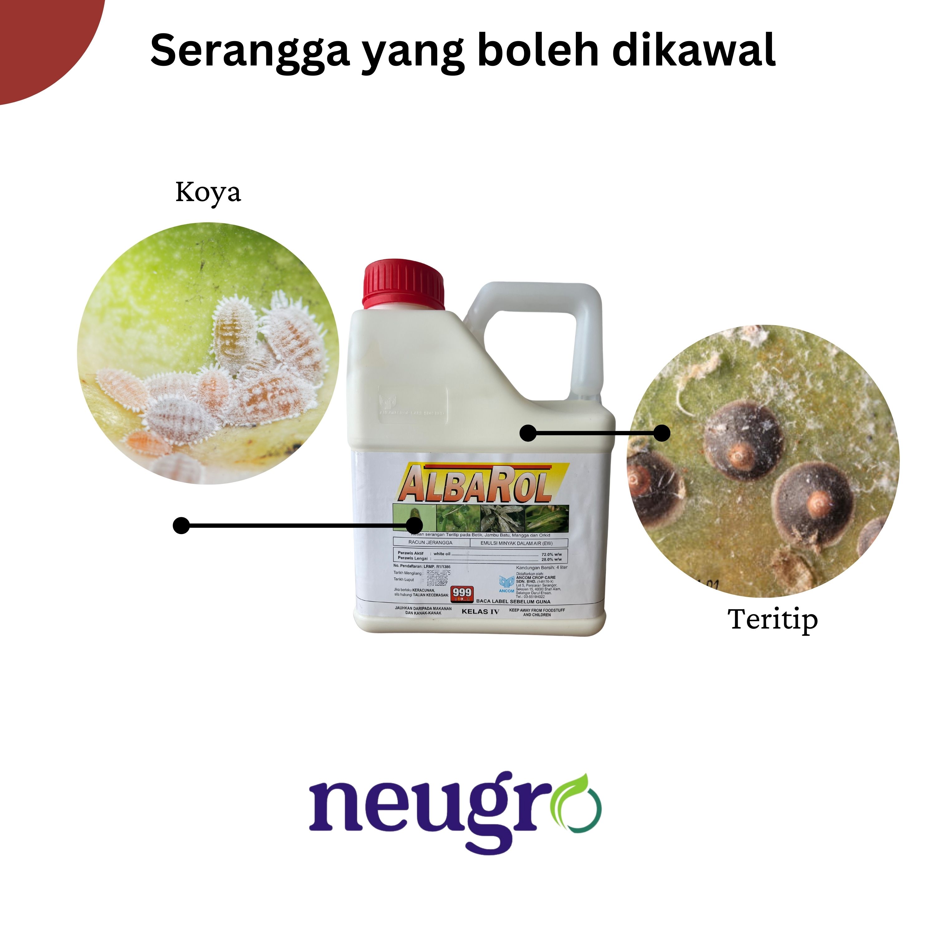 ALBAROL White Oil 白油 ANCOM 4L White Oil 72% Racun Serangga Teritip Koya ...