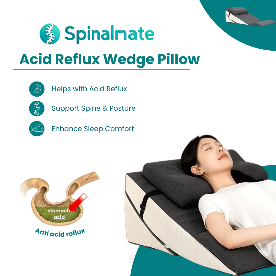 Spinalmate Acid Reflux 4in1 Wedge Pillow GERD Pillow Backrest Sleeping ...