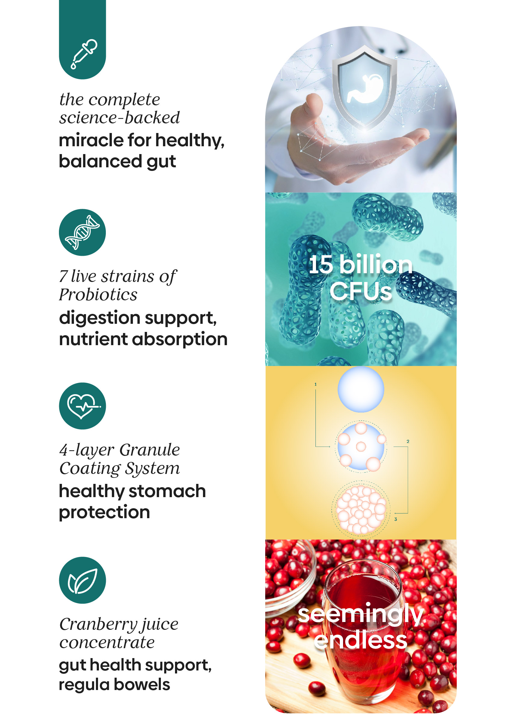 [Prebiotic & Probiotic Supplement] Purest Co Daily x Lean Up Melts ...