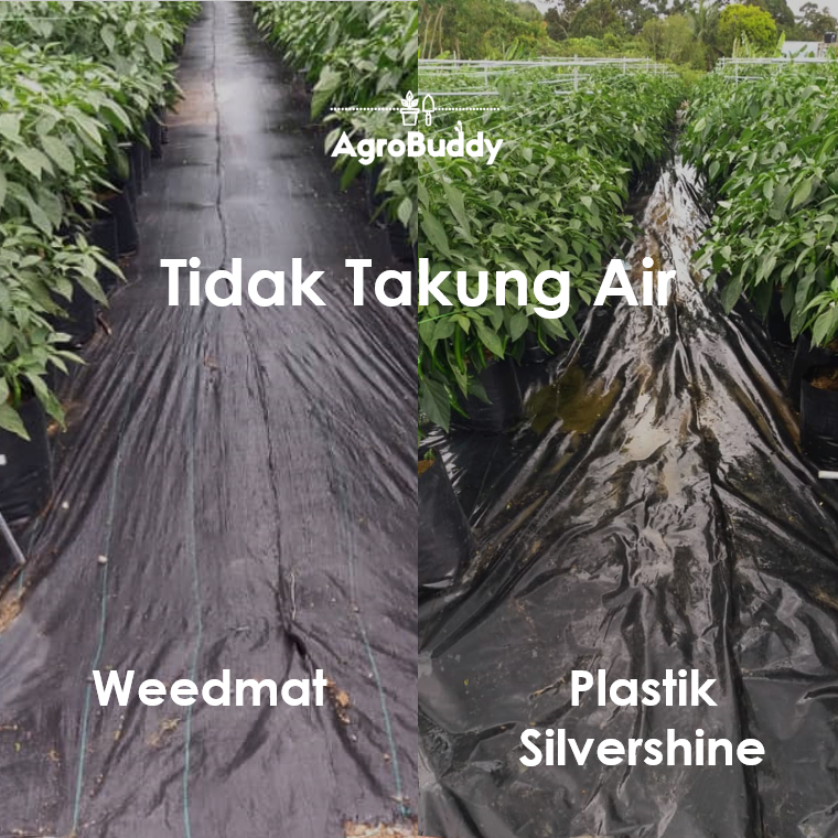 Weedmat Penutup Tanah Kawalan Rumput Saiz 10M/50M/100M Weed Control Mat ...