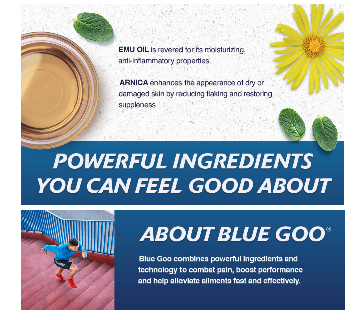 Blue Goo Pain Relieving Gel – Back, Neck, Muscle, and Joint Pain, Fast ...