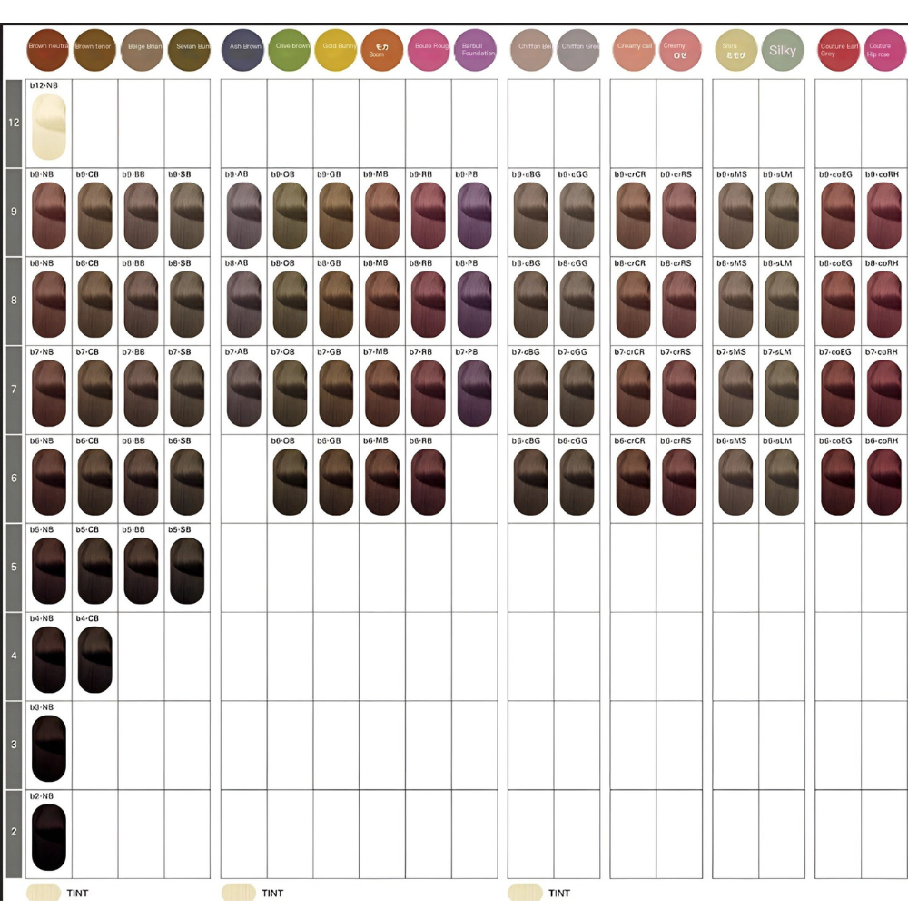 MILBON ORDEVE Beaute Gray Hair Colour 80g | Shopee Malaysia