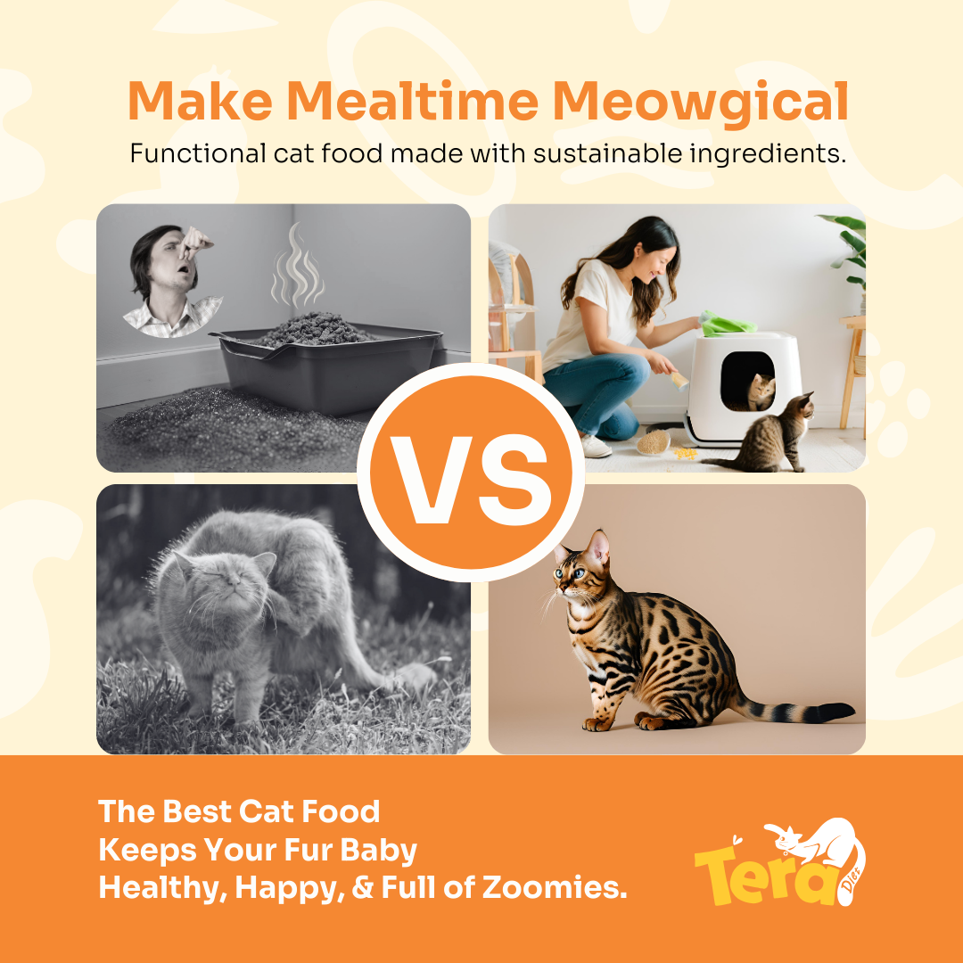 Tera Diet Makanan Kucing Hypoallergenic | Bundle Trial Pack Jimat ...
