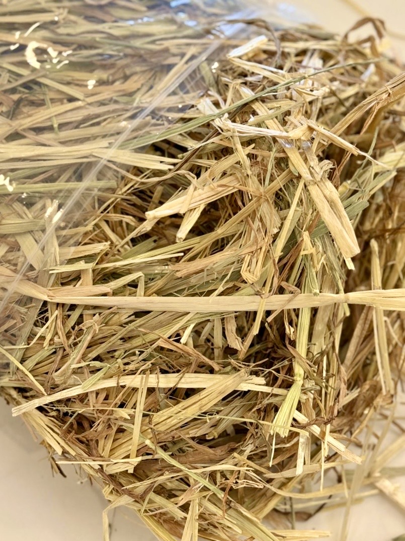 Eco Forest Canada Timothy Hay First Cut / Second Cut / Australia Oat ...