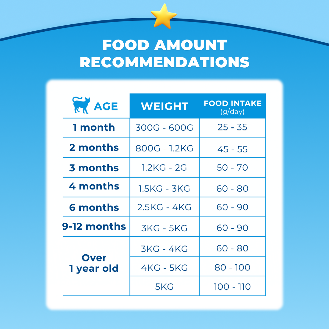 MR.VET Cat Food T3 pack 50G, formula with 4 types of fish, high-quality ...