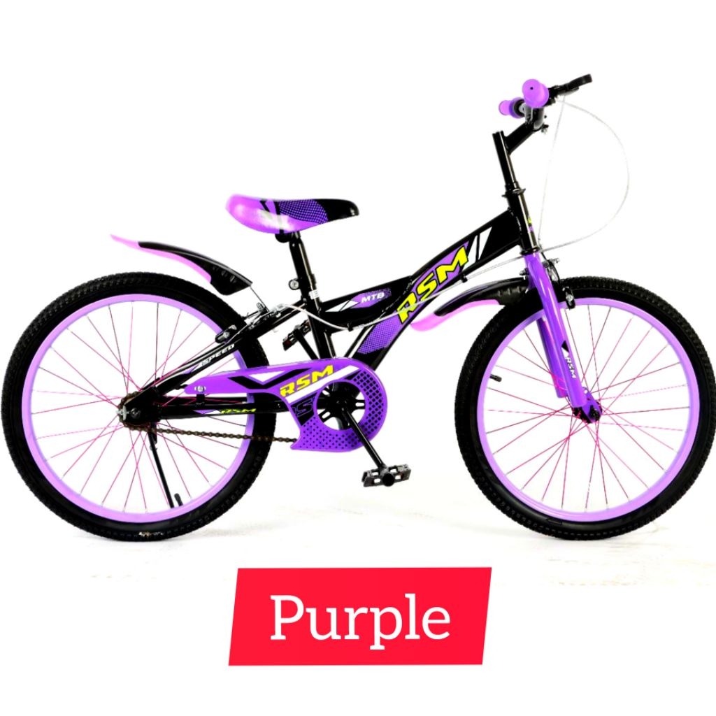 Basikal 20inch | Siap Pasang 90% | Tayar Hidup | Tayar Kasar | 6-10 ...