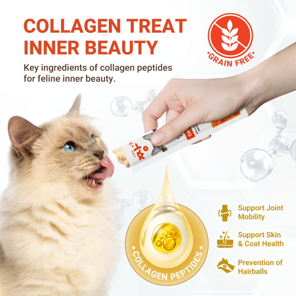 JJANGX3 Cat Creamy Collagen Treats 15g | Shopee Malaysia