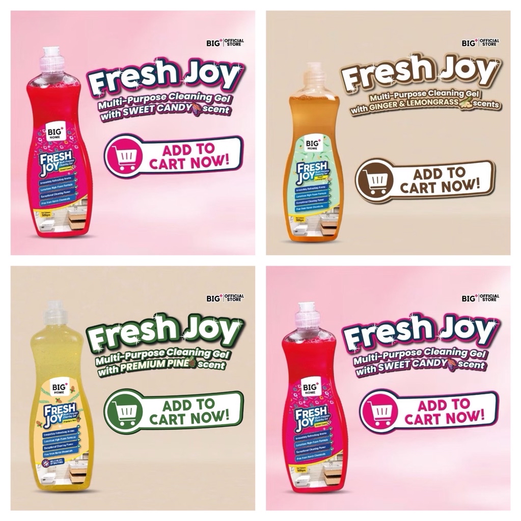 BIG+ Fresh Joy Multi Purpose Cleaning Gel Premium Choice (500g ...