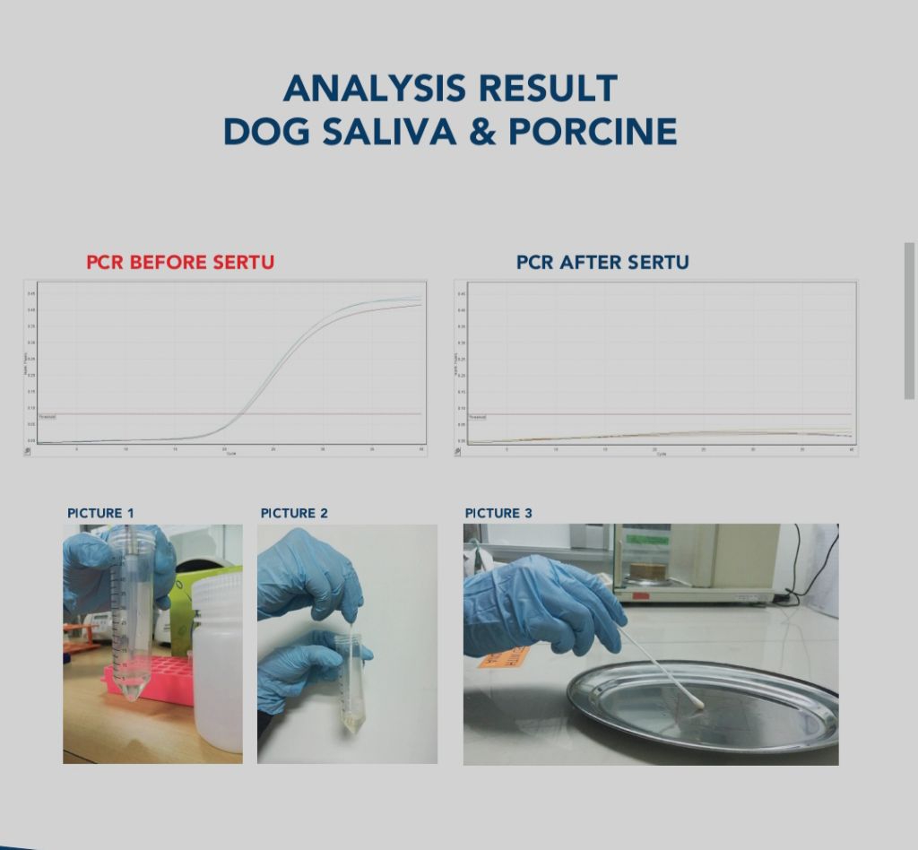 SERTWO - SAMAK & SERTU NAJIS MUGHALAZAH TAYAMMUM POWDER | Shopee Malaysia