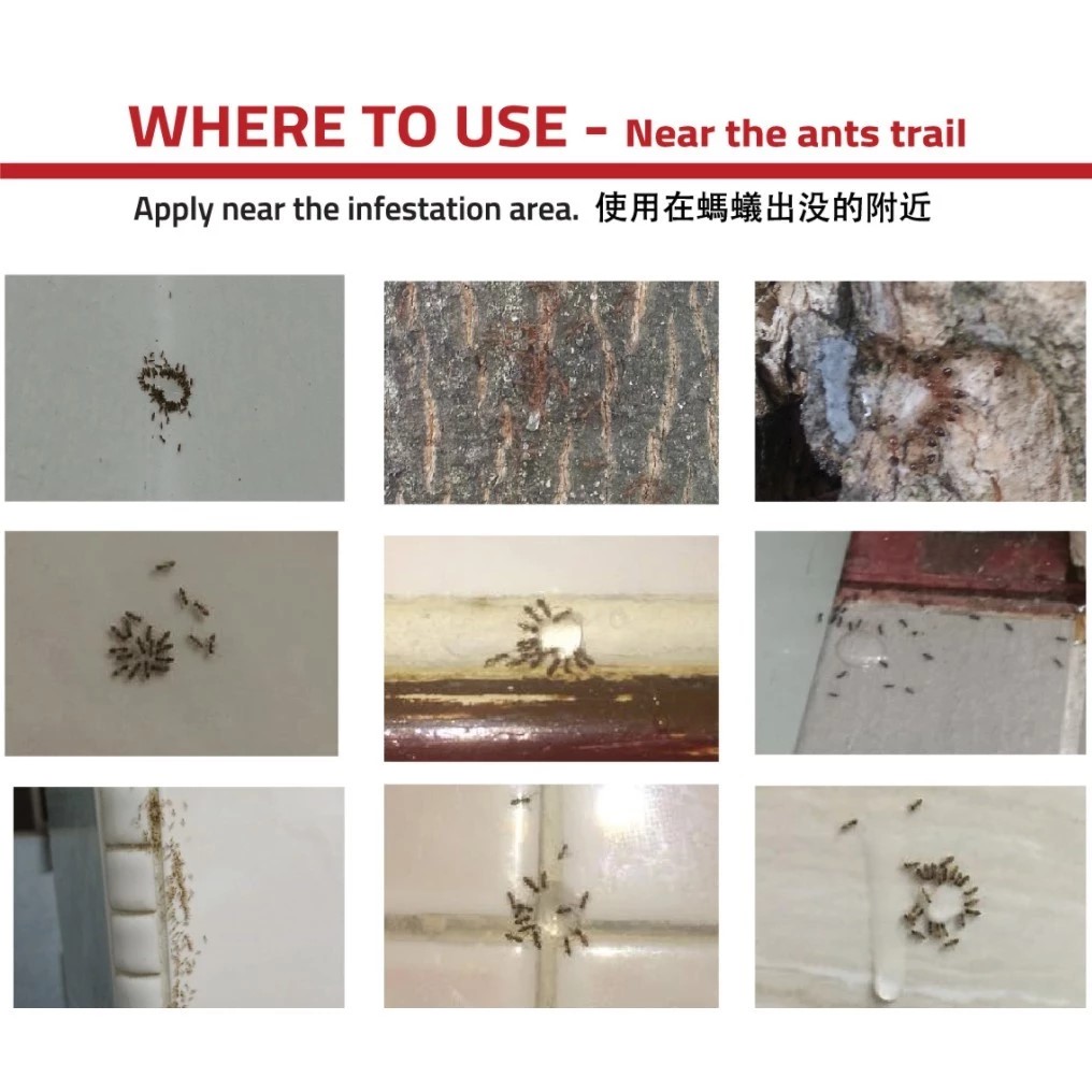 Cockroach Insecticide Gel Bait Ant Cockroach Gecko Killer Semut ...