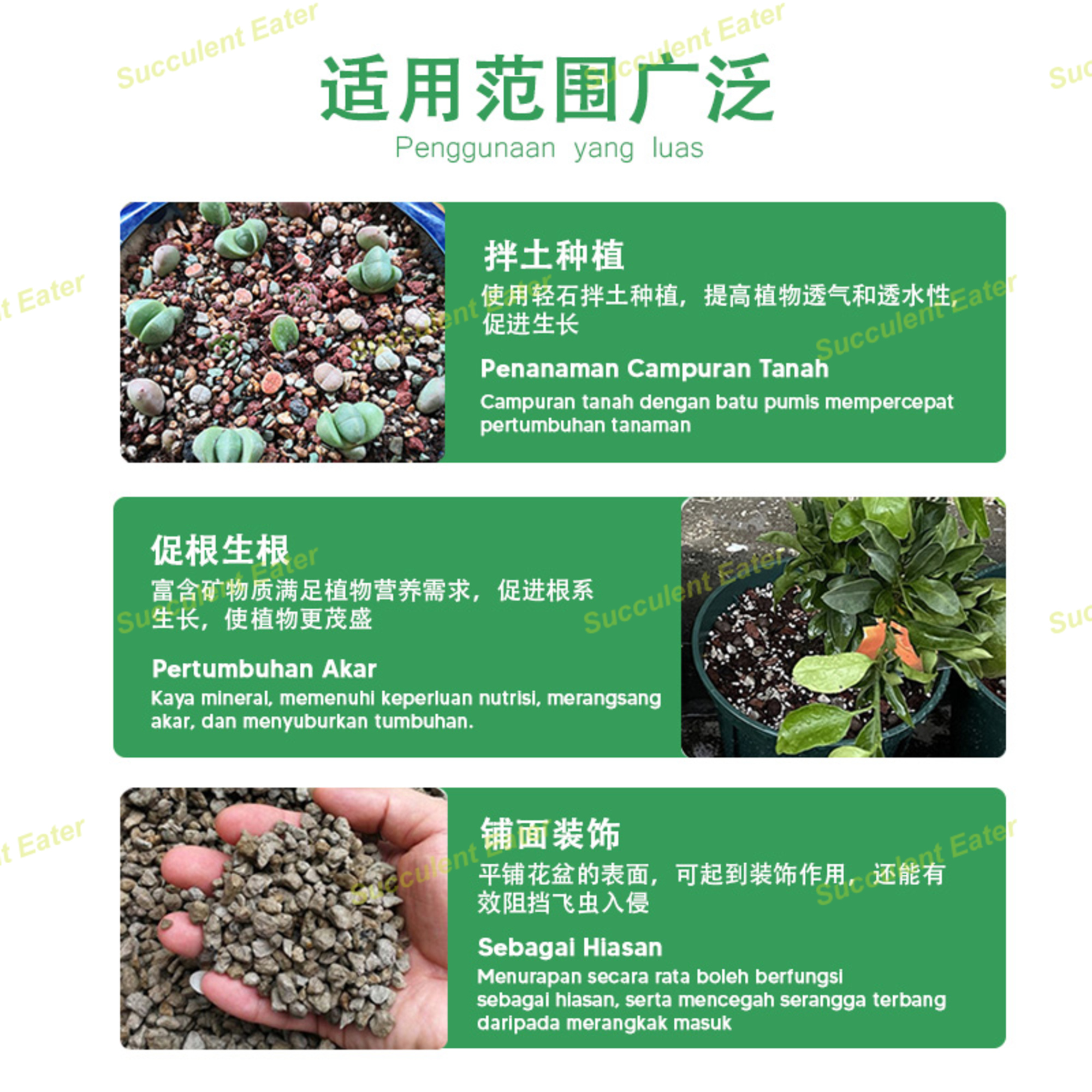 (1 Liter) Pumice Stone Batu Pumis Cactus Succulent Soil Filter Media ...