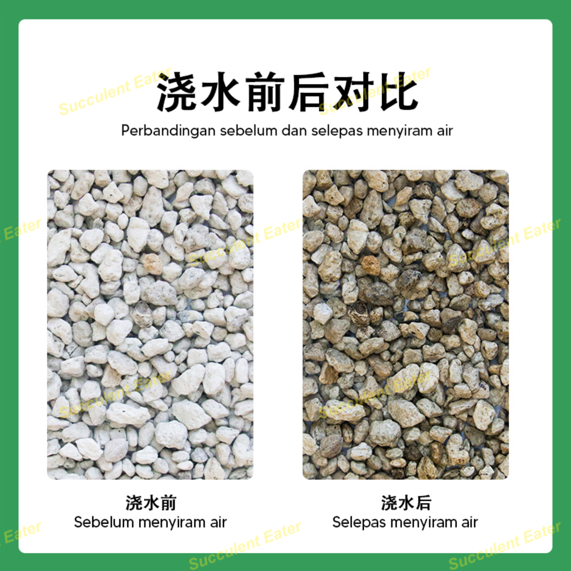 (1 Liter) Pumice Stone Batu Pumis Cactus Succulent Soil Filter Media ...