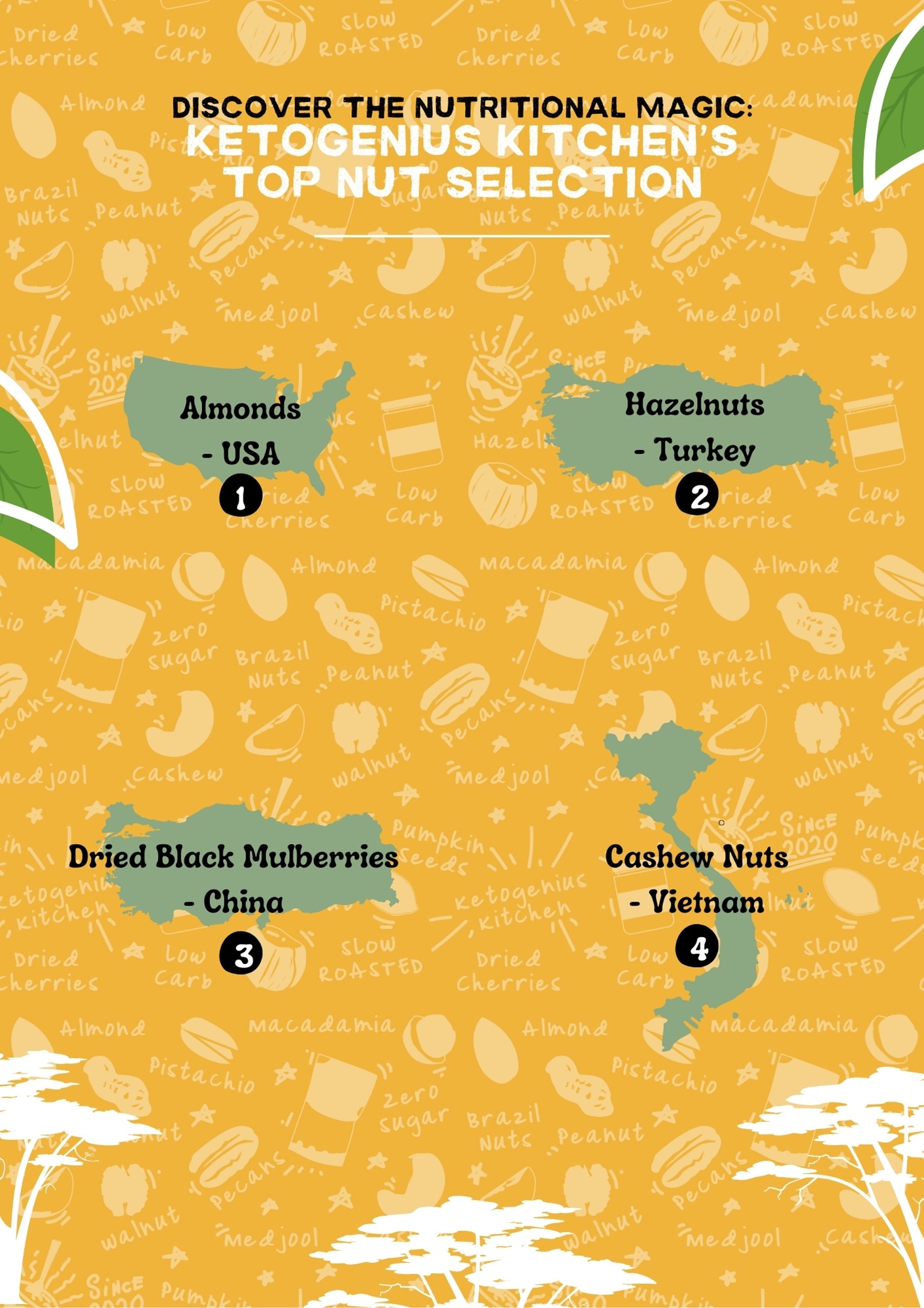 Ketogenius Kitchen Roasted Unsalted Deluxe Nuts Trail (110g/250g/500g) | Shopee Malaysia