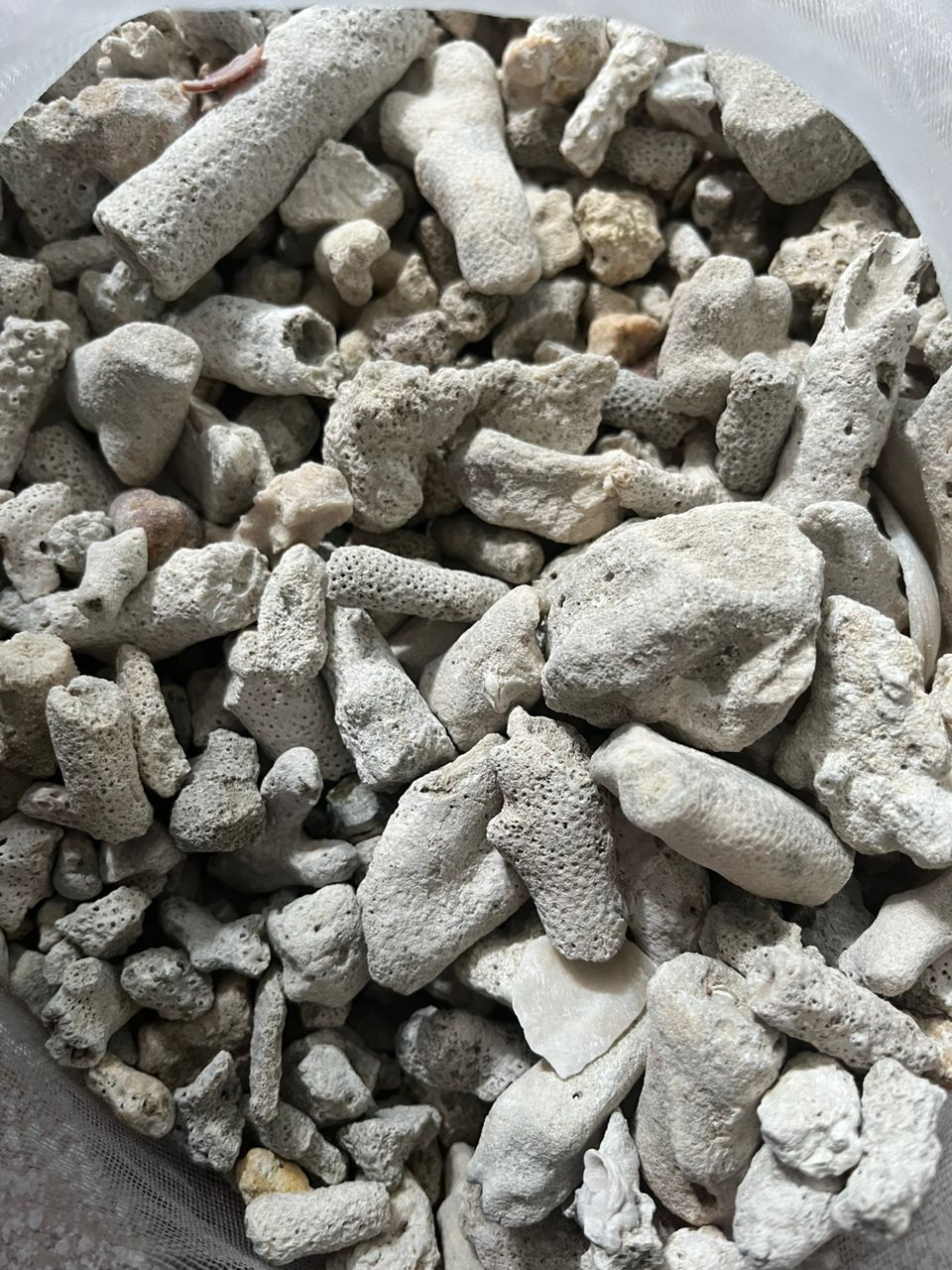 SLEN 2 KG Coral Stone Bio Filter Media Aquarium Coral Bone Stone ...